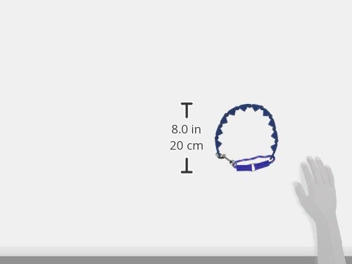 Купить Don Sullivan Perfect Dog Command Collar with Extra Links and DVD ...