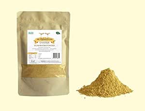 The Mushrooms Hub Oyster Mushroom Powder Bulk Pack (1 Kg): Amazon.in ...