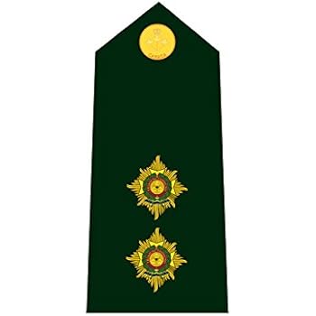 Amazon.com: American Vinyl US Army Rank 2LT Second Lieutenant Gold Bar ...