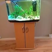 Interpet Fish Pod Glass Aquarium Fish Tank, 120 L: Amazon.co.uk: Pet ...