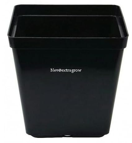 (10) Square Plant Pots- 13 x 13 cm x 13 H: Amazon.co.uk: Garden & Outdoors