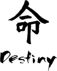 Amazon.com: Destiny Chinese Symbol Character Graphic Car Truck Windows ...