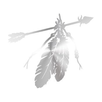 Amazon.com: Feather Bald Eagle Native American Car Decal Sticker 5 ...