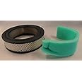 Amazon.com : Genuine Briggs & Stratton 692519 Air Filter & 692520 Pre ...