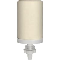 Amazon.com: Brazilian Stéfani Double Action ceramic water filter ...