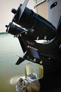 Amazon.com : Panther Navigator 650110A Troll Motor Fw 24V 110 Lb Dual ...