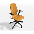 Amazon.com: Steelcase SILQ Office Desk Chair Merle Dark Frame Cogent ...