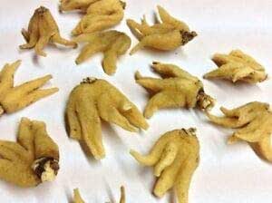 Finaldeals Yellow Salam Panja Hatta Haddi Salab Panja Panchaule ...