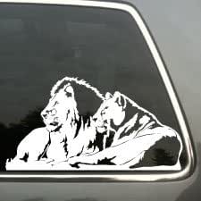 Amazon.com: Lion and lioness vinyl decal big : Automotive