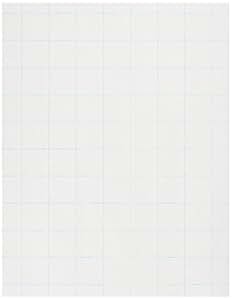 Amazon.com : School Smart Double Sided Graph Paper with in Ruler - 8 1/ ...