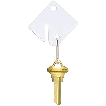 Amazon.com : Buddy Products Blank Plastic Key Tags, White, Set of 100 ...