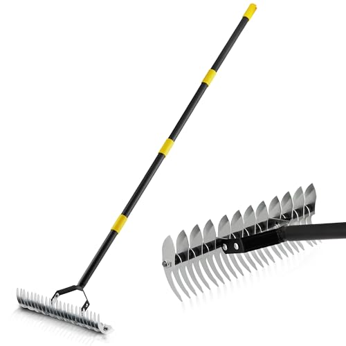 Double-Sided Thatch Rake, 15-Inch Lawn Thatching Rake, 23 Tines Robust ...