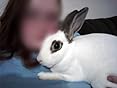 Amazon.com: VIAHART Ridley The Rabbit - 11 Inch Realistic Stuffed ...