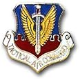 Amazon.com: US Air Force Strategic Air Command Shield Lapel Pin ...