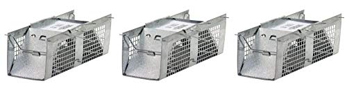 How to Get Rid of Voles (7 Best Ways in 2019) - Pest Control Gurus