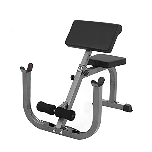 Roman Chair - Weight Bench Arm Curl Weight Bench Preacher Curl Isolated ...