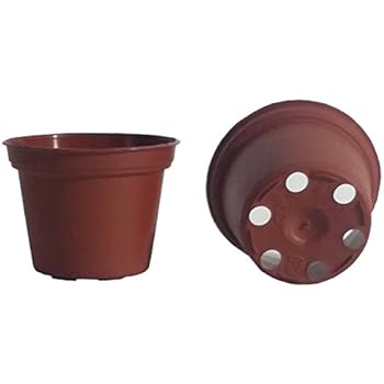 Amazon.com: 50 New 3 Inch Plastic Nursery Pots ~ Pots are 3 Inch Round ...