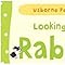 Looking After Rabbits (Pet Guides) : Fiona Patchett, Christyan Fox ...