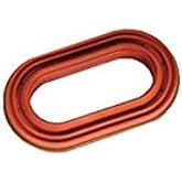 Amazon.com: GM Genuine Parts 24240184 Automatic Transmission Control ...