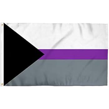 Amazon.com : Demisexual 3x5 Foot LGBTQ+ Pride Flag - Bold Vibrant ...