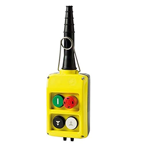 ASI PLB04D2-E 4 Button Crane Pendant Station, Double Row, 2 Two Speed Bidirectional Push Buttons ...