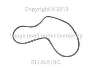 Amazon.com: 2 X BMW Genuine Door Seal (Grey)Front for 525i 530i 535i ...