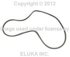 Amazon.com: 2 X BMW Genuine Door Seal (Grey)Front for 525i 530i 535i ...
