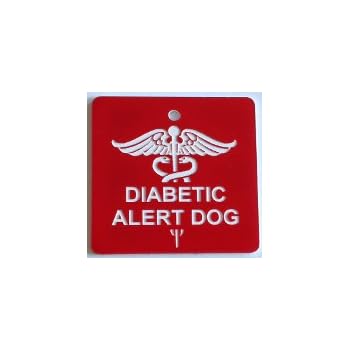Amazon.com : DIABETIC ALERT Service Dog 1 x 2 inch Aluminum Core Dog ...