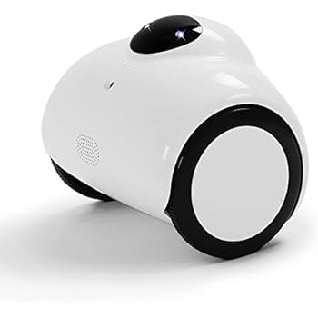 Amazon.com : Appbot Riley Home Safety Movable Camera Robot : Camera & Photo