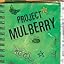 Project Mulberry: Linda Sue Park: 9780440421634: Amazon.com: Books
