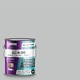 Amazon.com: Beyond Paint Furniture, Cabinets and More All-in-one ...