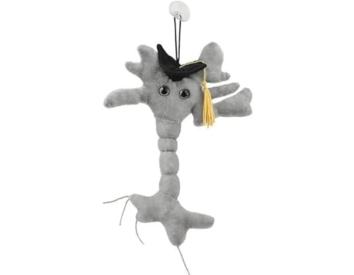 GIANTmicrobes Graduation Brain Cell Plush, graduation plush 2025 ...