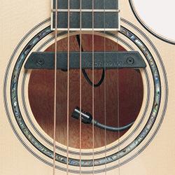 Fishman Rare Earth Blend Pickup : Amazon.ca: Musical Instruments, Stage ...