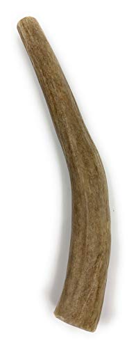 Best Dog Bones For Agressive Dogs - Power Chewers Solutions (2020)