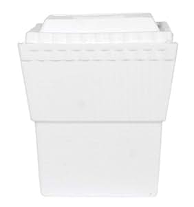 Amazon.com : Lifoam Styrofoam Cooler 12 Qt 11-1/2 In. X 8 In. X 13-1/4 ...