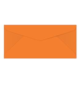 Amazon.com : Bright Color #10 Envelopes - 50 Envelopes (Orange ...