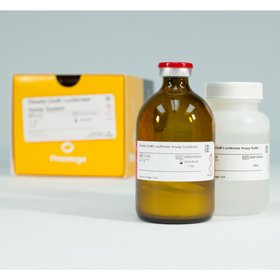 Amazon.com: Promega E2520 Steady-Glo Luciferase Assay System, 100mL ...