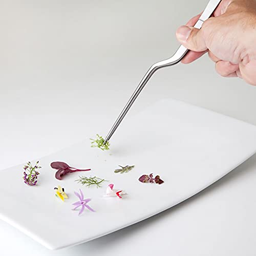 CREATIVECHEF 7 PCS Plating Tools Culinary Set Contains kitchen tweezers ...