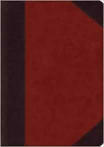 ESV Study Bible, Large Print (TruTone, Brown/Cordovan, Portfolio Design ...