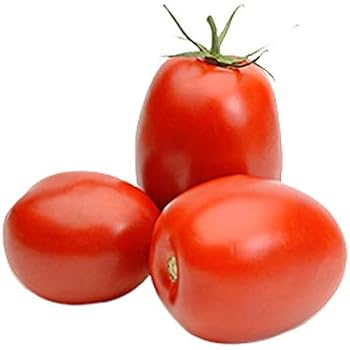 Amazon.com : Bella Rosa Hybrid Tomato Seeds (50 Seeds) : Garden & Outdoor