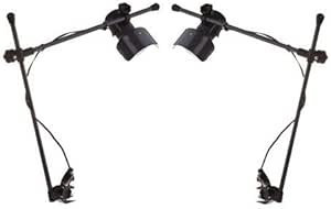 Amazon.com : RPS Studio Copy Stand Lights : Darkroom Safelights ...