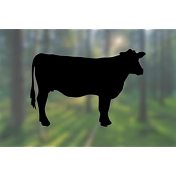 Amazon.com: Ranger Products Angus Cow Bull Cattle Decal Sticker, Die ...