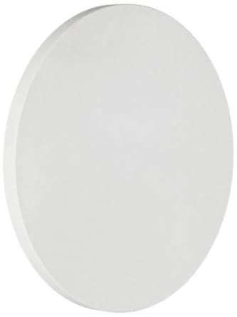 Amazon.com: Porous Ceramic Disc, Pure White, 15 Bars Air Entry, 0.16 ...