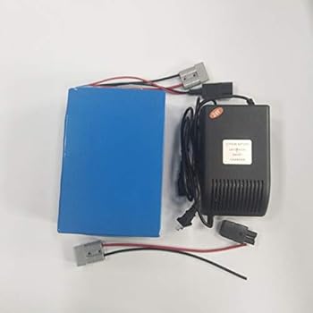 Amazon.com :24 Volt Currie Electric Bicycle Battery - Rack Mount ...