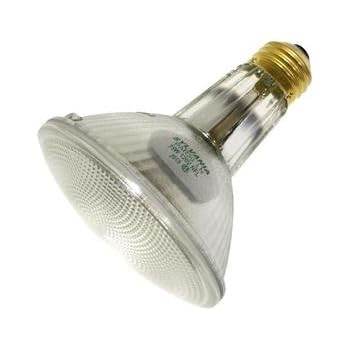 Sylvania 14769 Capsylite PAR30 75 Watt 120 V Narrow Flood Beam Long ...