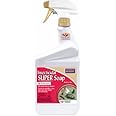 Amazon.com: Bonide 6556 Insecticidal Super Soap, Ready-to-Use, 1-Qt ...