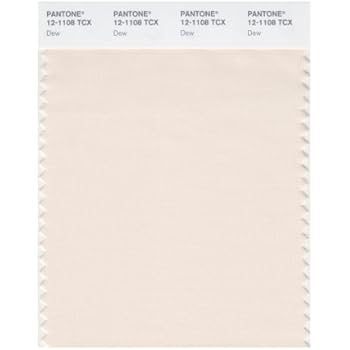 Pantone 11-1001 TCX Smart Color Swatch Card, White Alyssum - Wall Decor ...