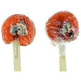 Amazon.com : Paleta De Saladito Tamarindo Lollipop Salted Dry Plum ...