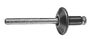 Amazon.com: 10 Ford Door Lock Actuator Peel-Type Rivet N808689-S417 ...