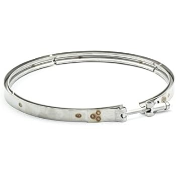 Amazon.com: Cummins (2871861) V-Band Clamp for Diesel Particulate ...
